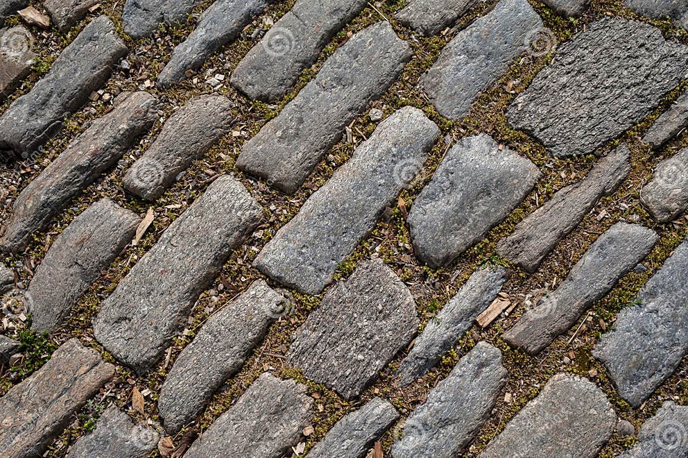 Laid-stone Pavement Diagonal Texture Stock Image - Image of moss, laid ...