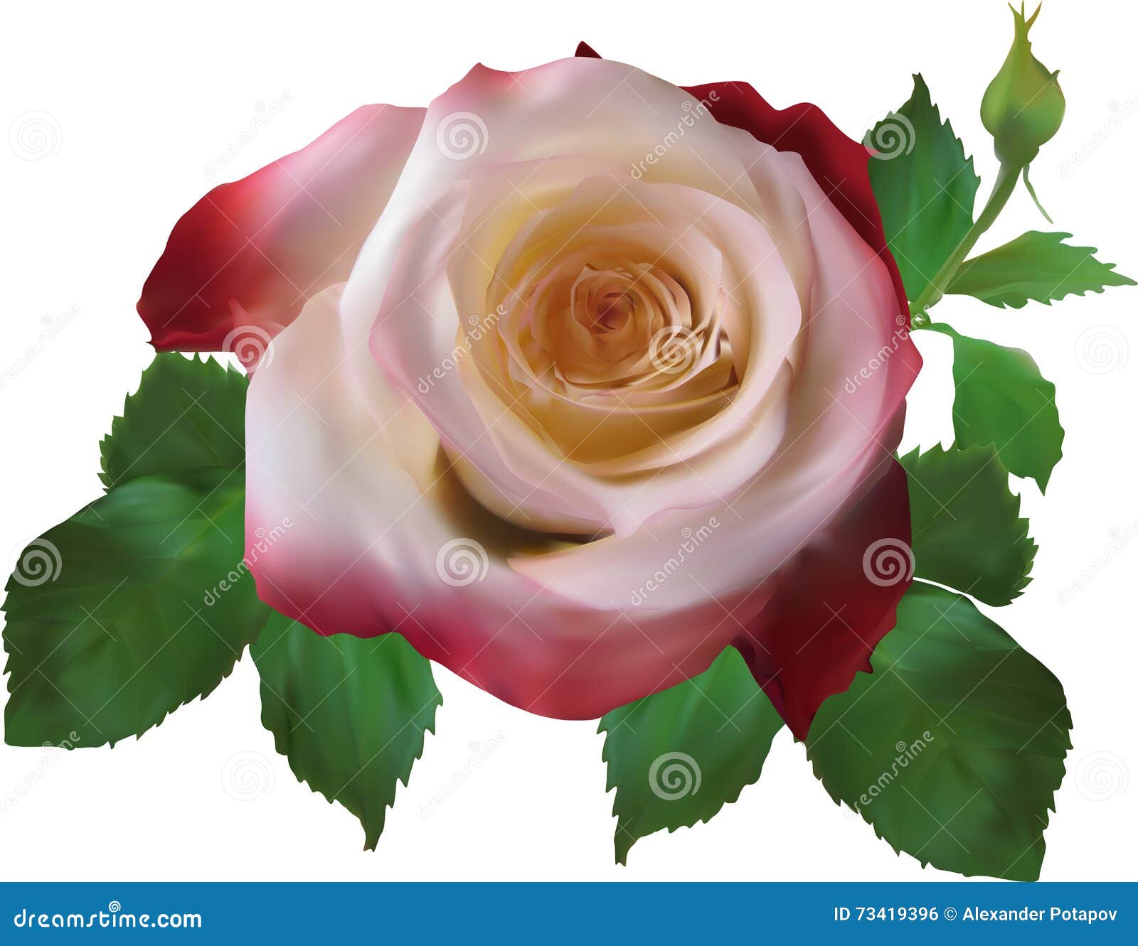 A Single Red Rose Flower In A Clear Glass Vase Standing On A Textured ...