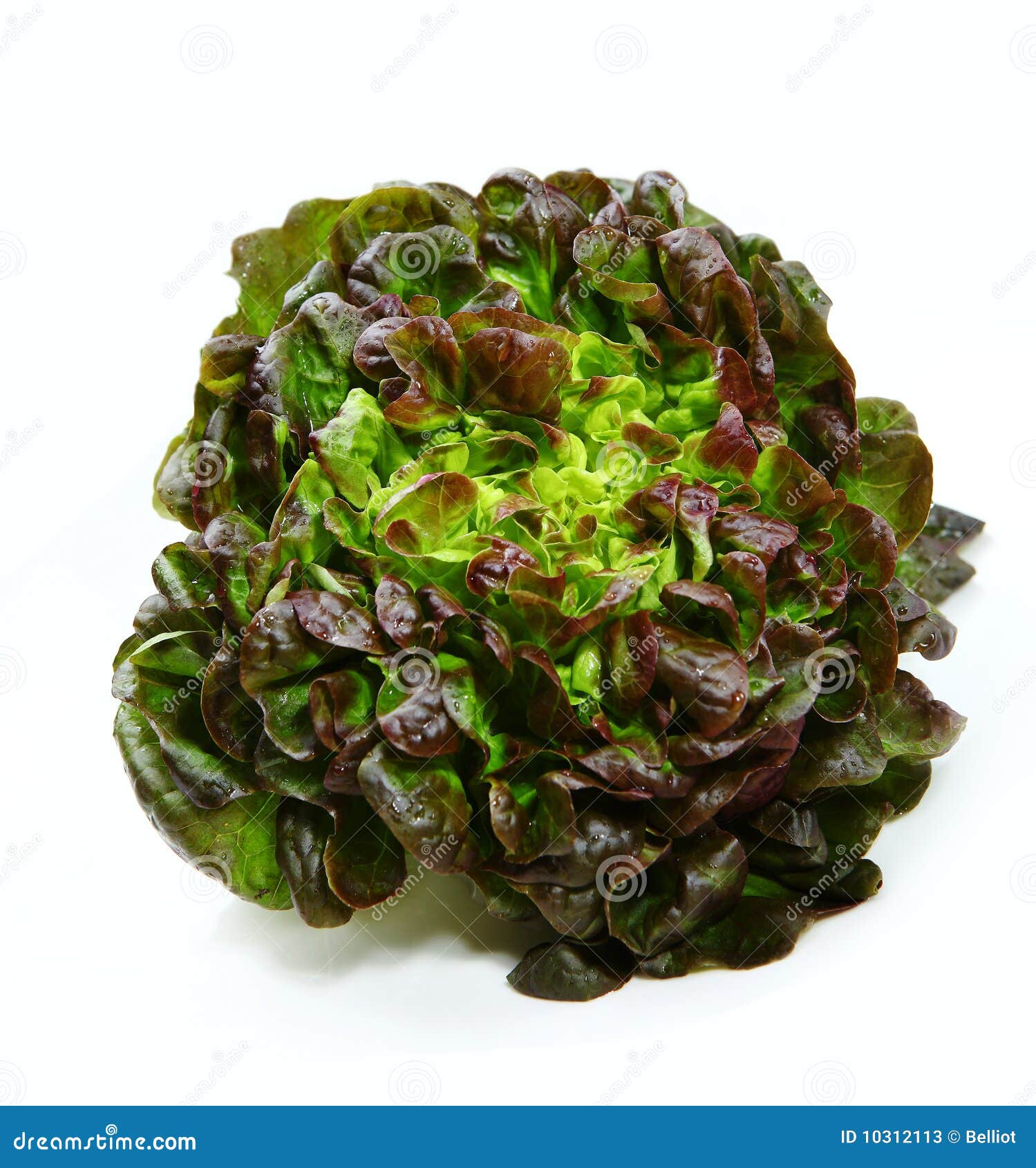 Laitue image stock. Image du nourriture, texture, organique - 10312113