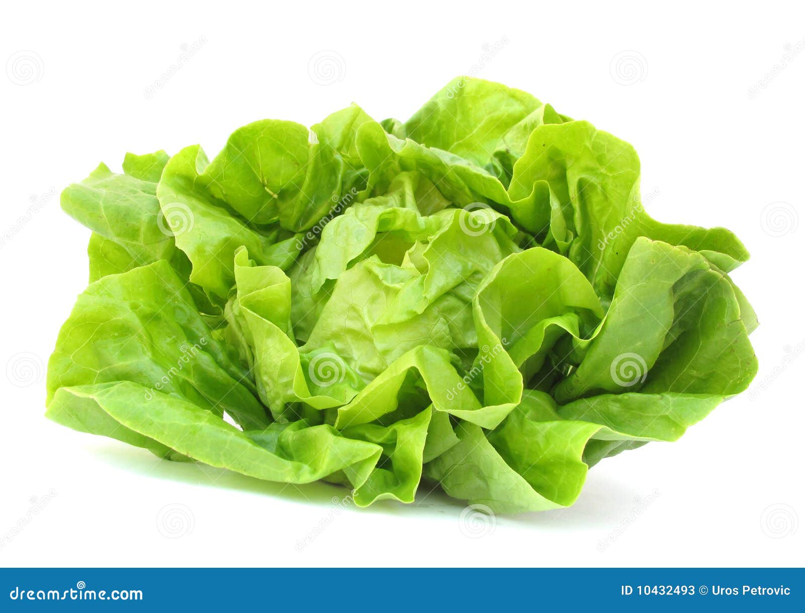 Laitue image stock. Image du lames, légume, était, salade - 10432493
