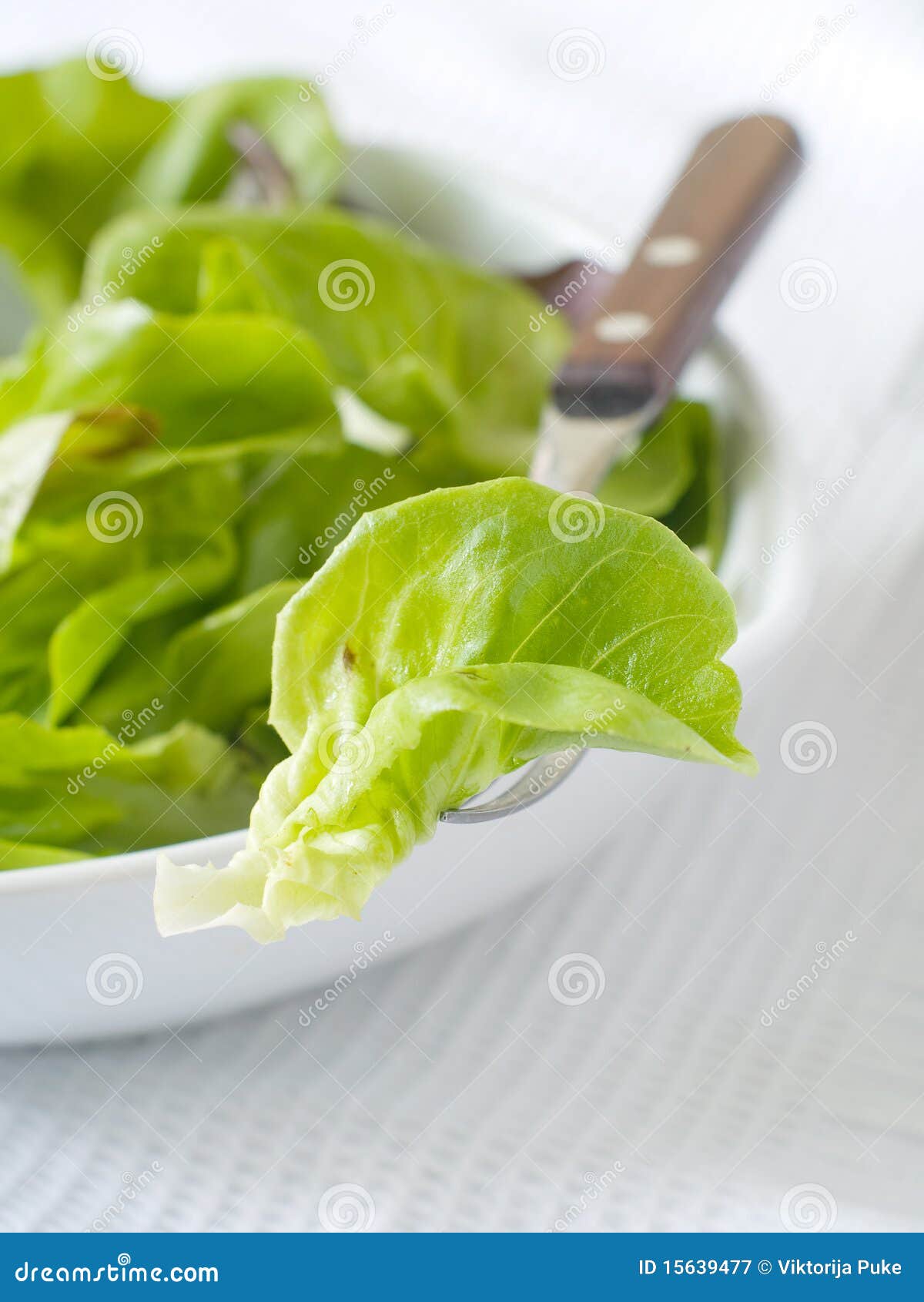 Laitue image stock. Image du manger, ingrédient, vivacité - 15639477