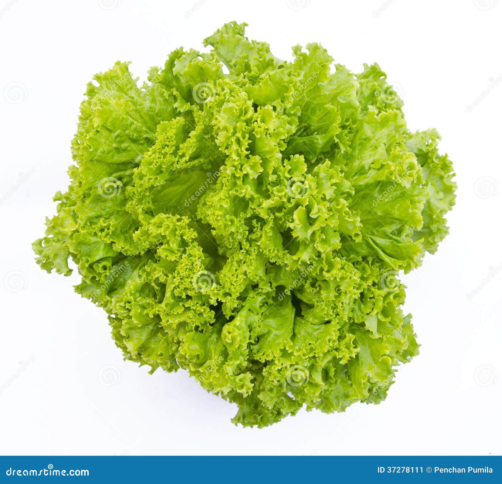 Laitue image stock. Image du fibre, ingrédient, cuisine - 37278111