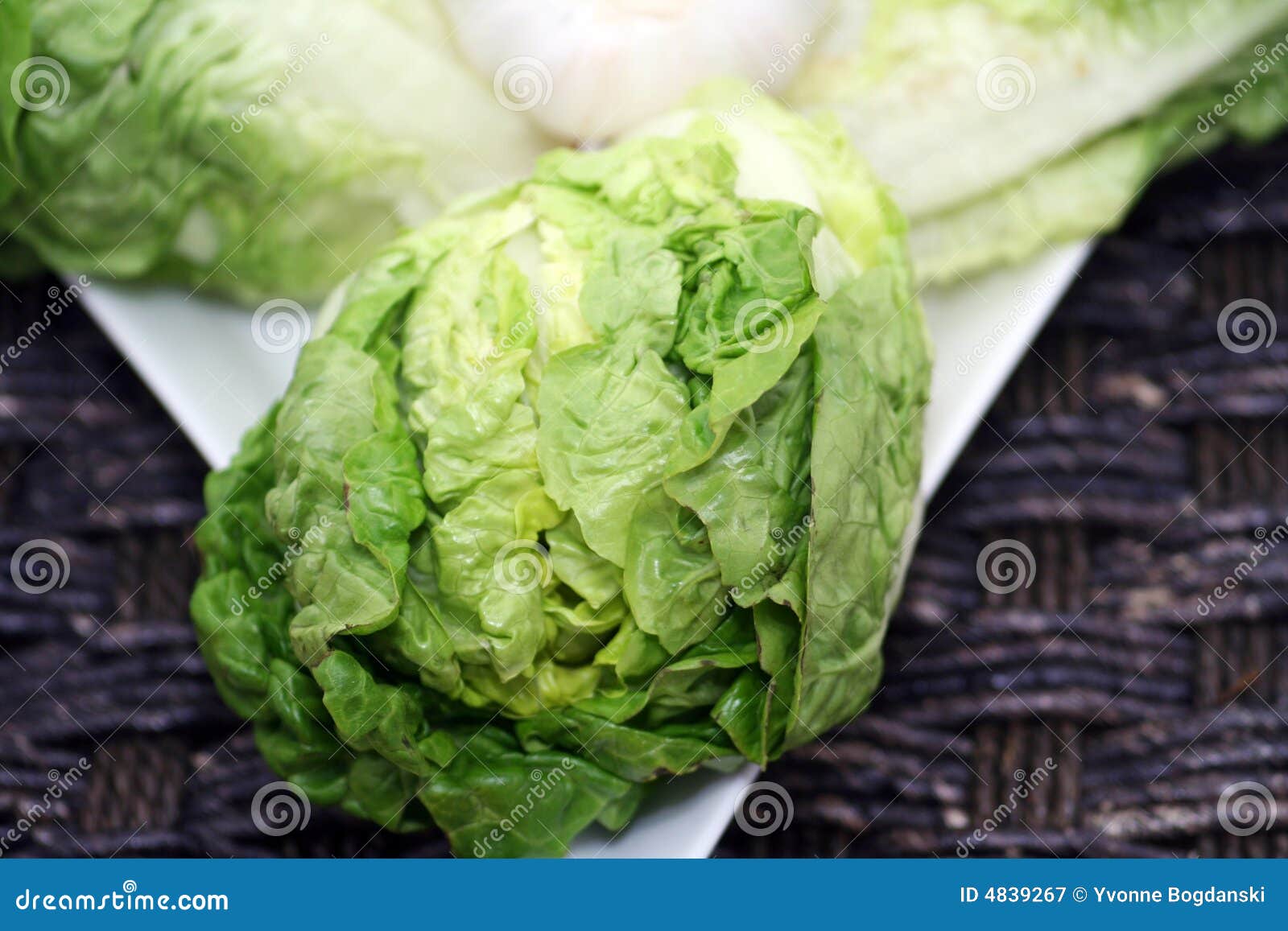 Laitue image stock. Image du végétarien, iceberg, feuillu - 4839267