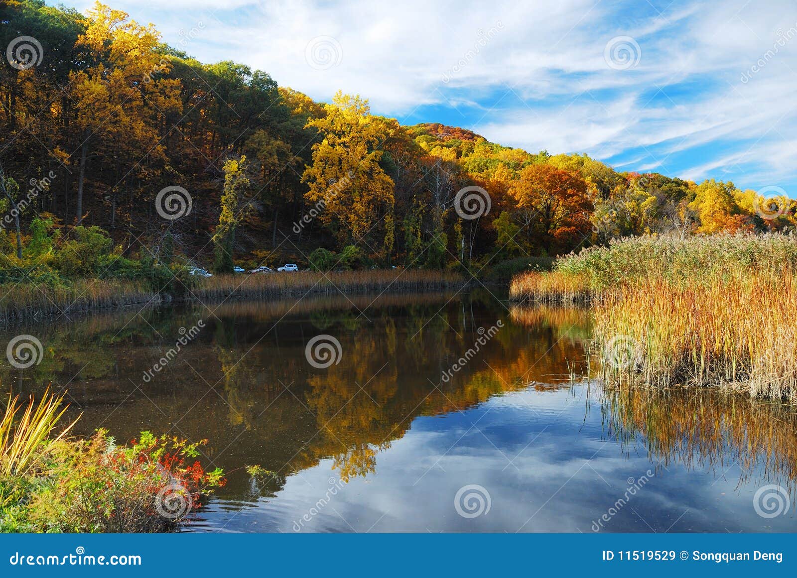 Lake stock image. Image of colorful, november, autumn - 11519529