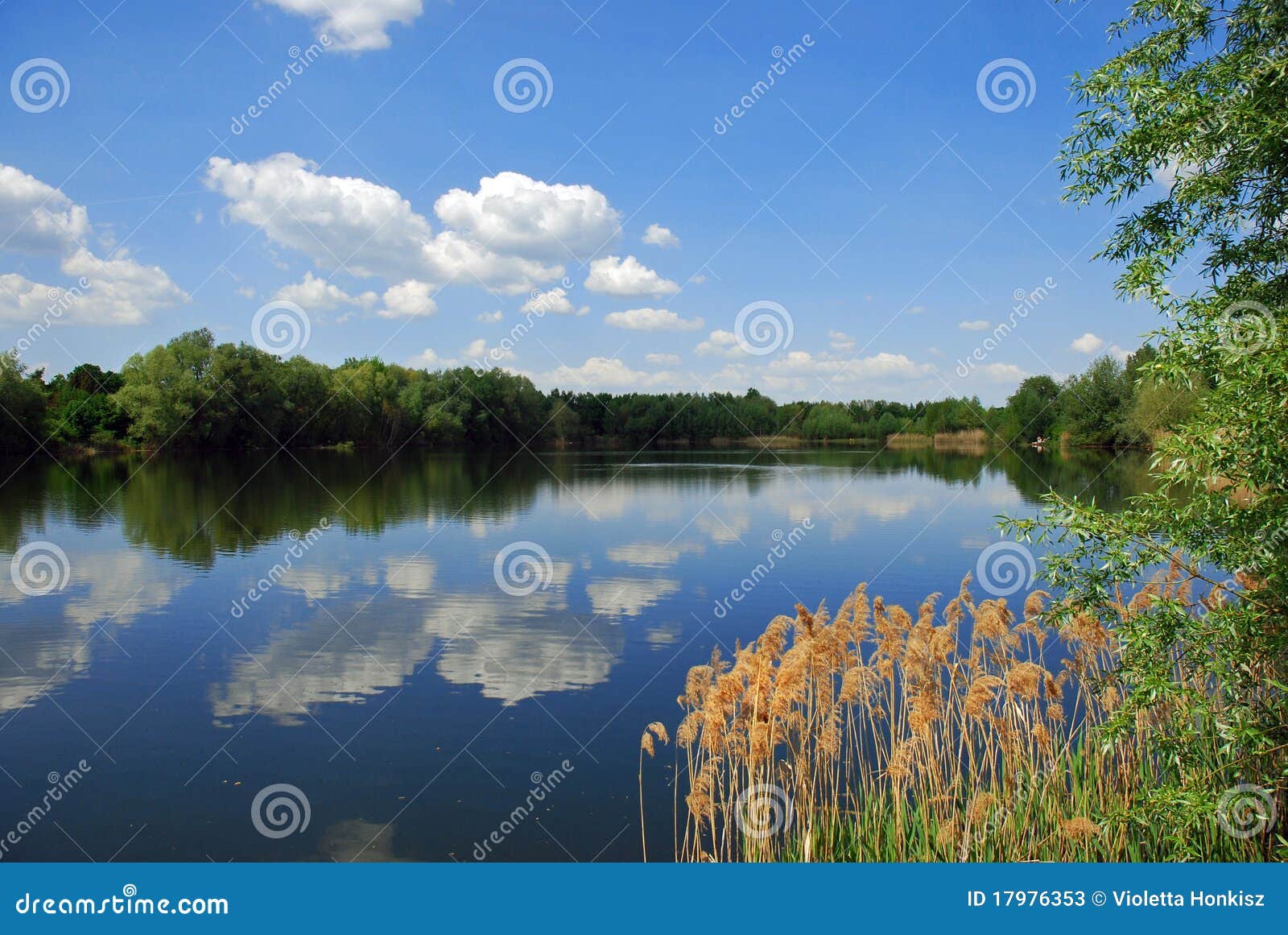 Lake stock image. Image of lake, water, vacation, swim - 17976353