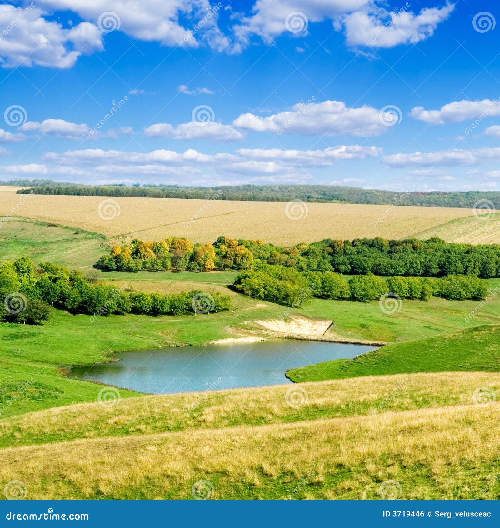 Lake stock photo. Image of background, beautiful, field - 3719446