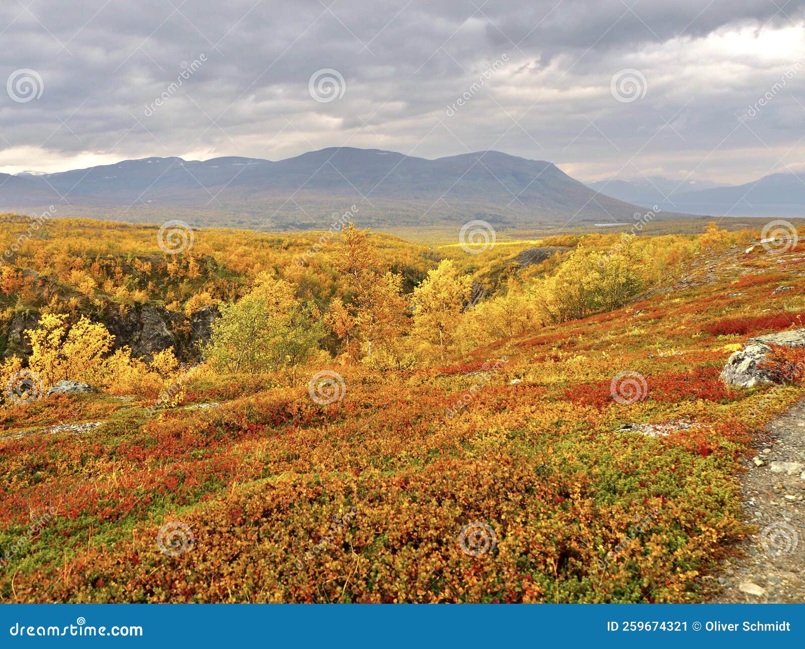 Lake in the Fall Season in a Swedish National Park Stock Image - Image ...
