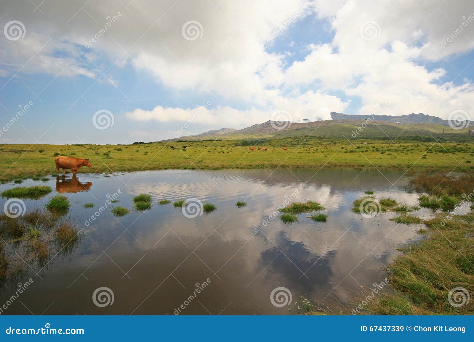 Lake at the Active Volcano - Mount Aso Stock Image - Image of mount ...