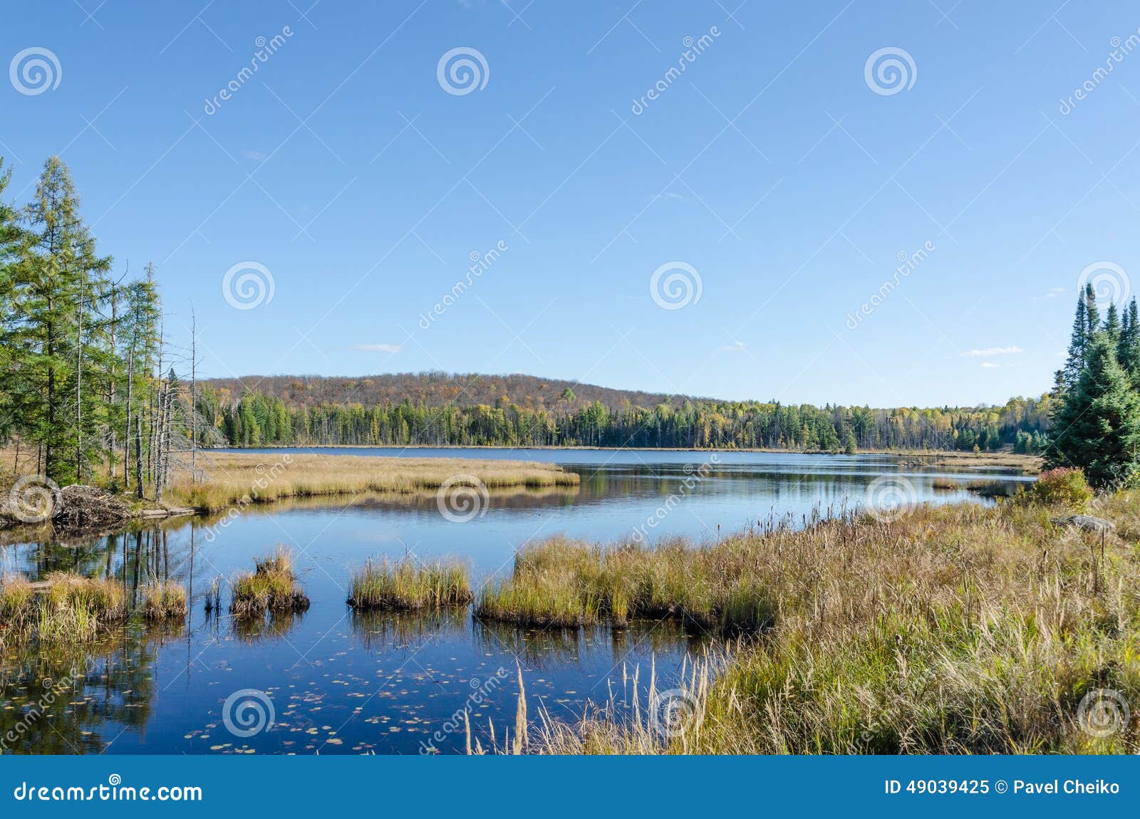Lake in Algonquin Park stock image. Image of canada, colorful - 49039425