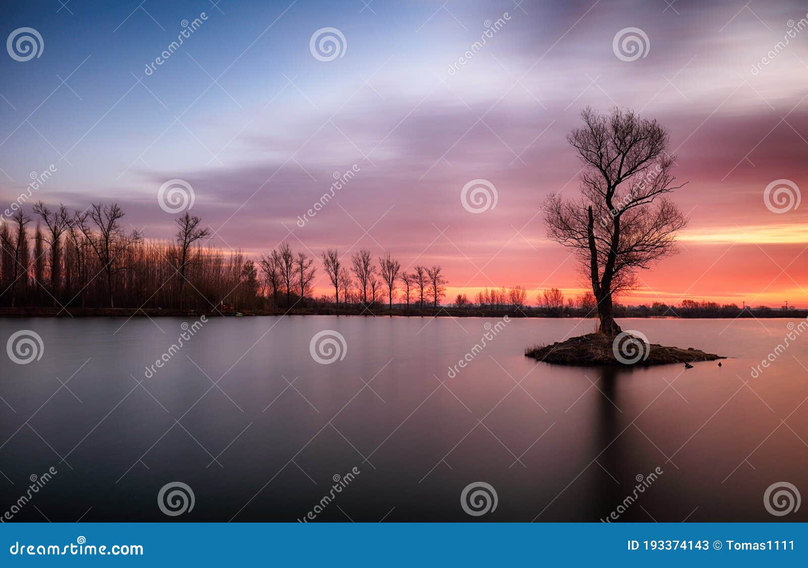 Lake with Alone Tree at Dramatic Sunset Stock Image - Image of ...