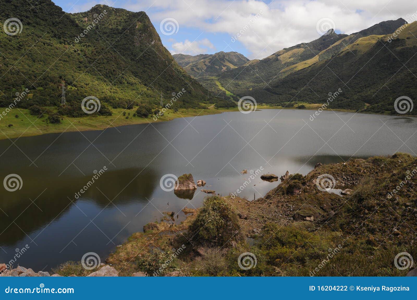 Lake in the Andes, Ecuador stock photo. Image of green - 16204222