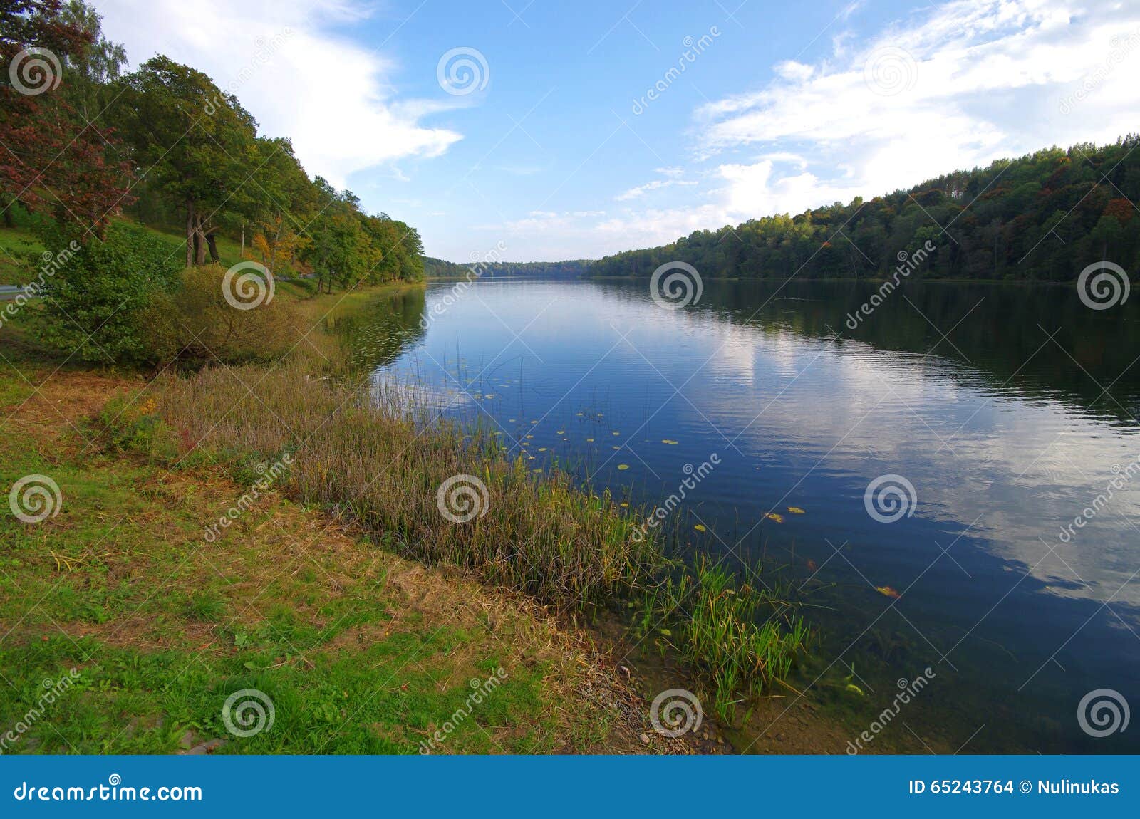 Lake Asveja (Dubingiai). stock photo. Image of reed, panorama - 65243764