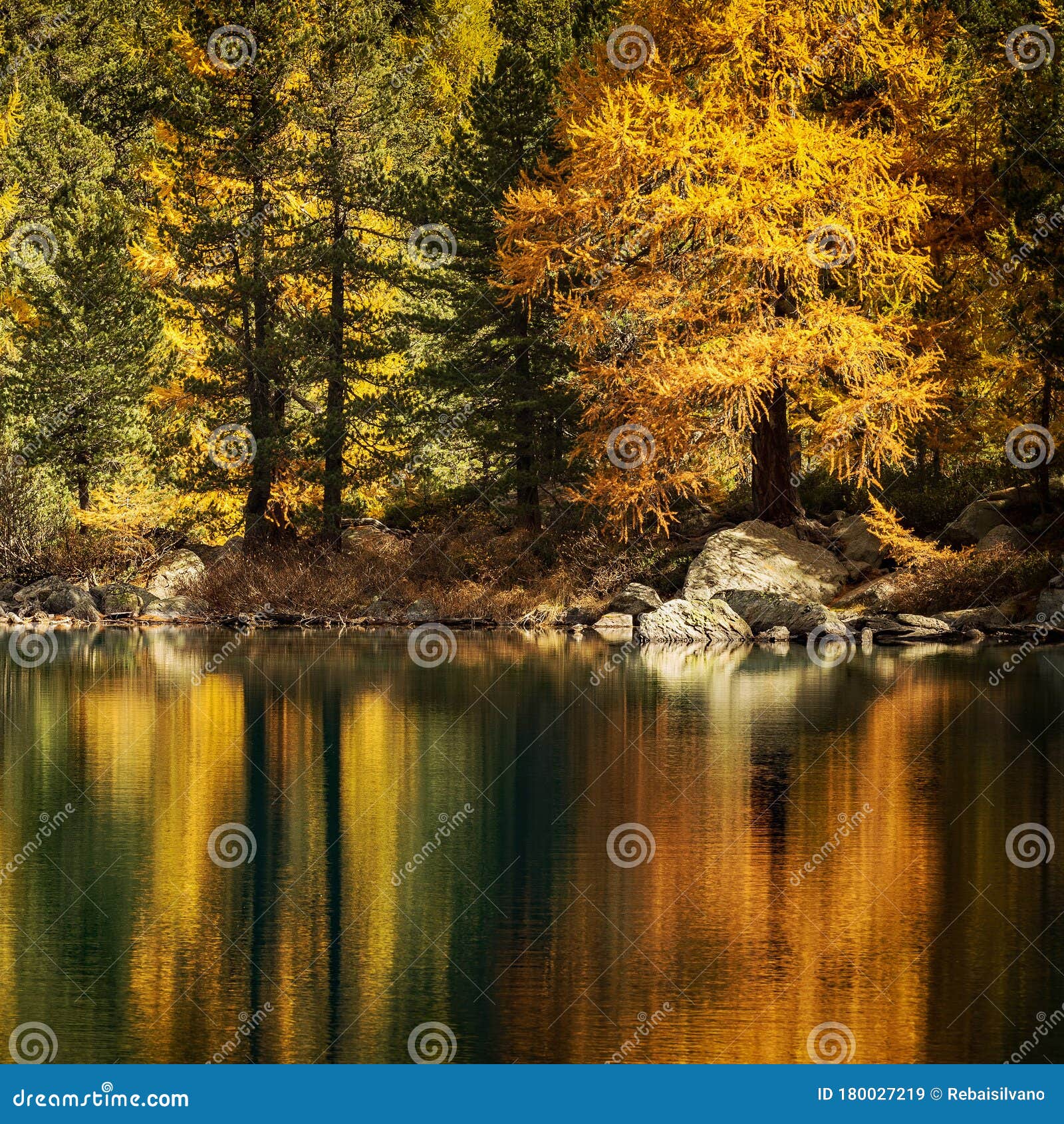 Lake with Autumn Reflections Stock Image - Image of beautiful, natural ...