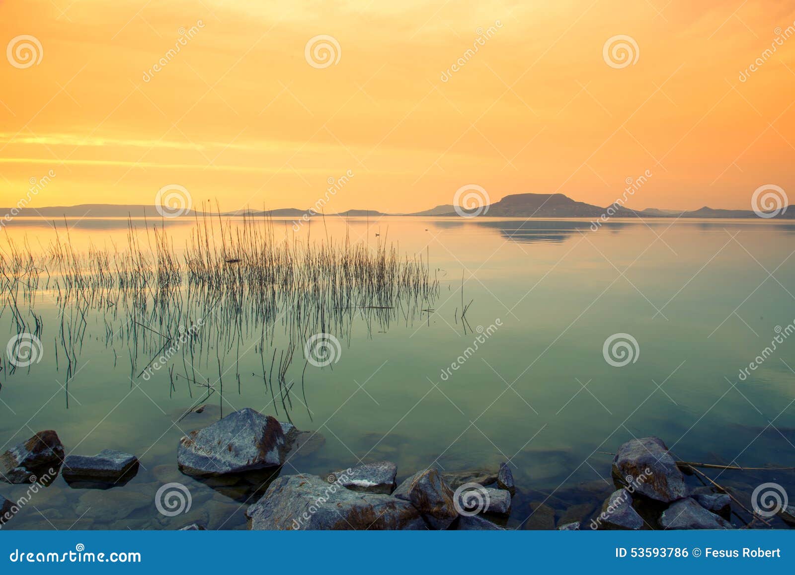 Lake Balaton-Hungary stock photo. Image of nature, coast - 53593786