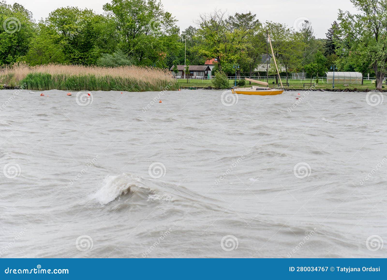 Lake Balaton in Windy Weather in Spring Stock Image - Image of flora ...