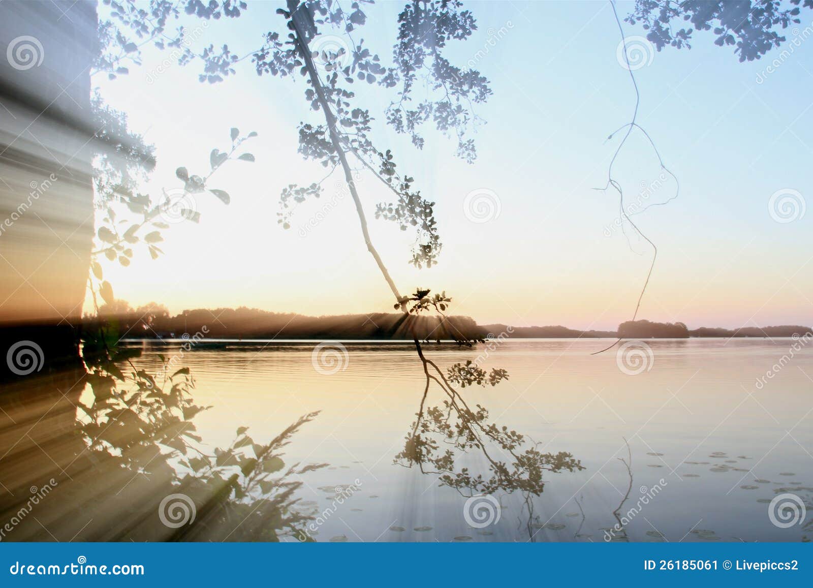 Lake bank stock image. Image of tree, nature, twilight - 26185061