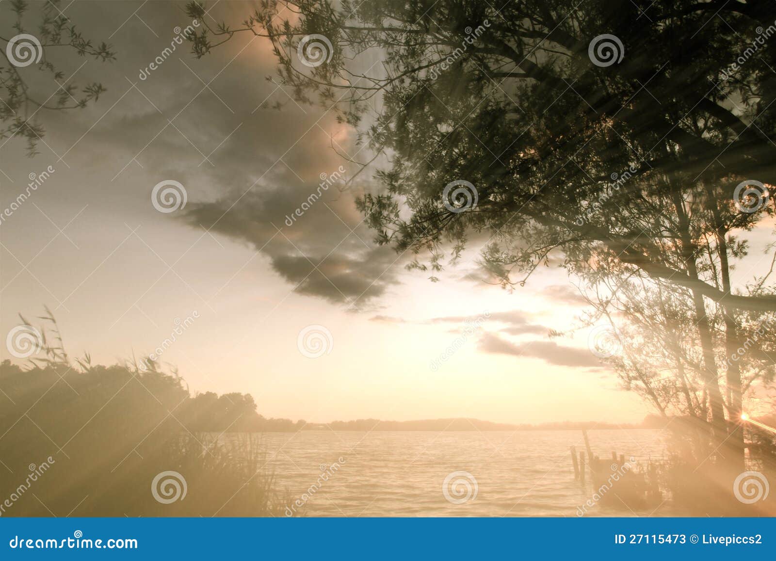 Lake bank stock image. Image of water, nature, trees - 27115473
