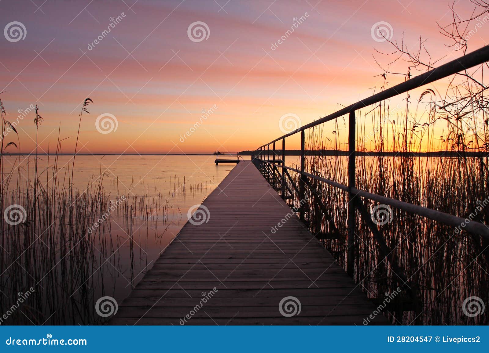 Lake bank stock image. Image of winter, landscape, footpath - 28204547