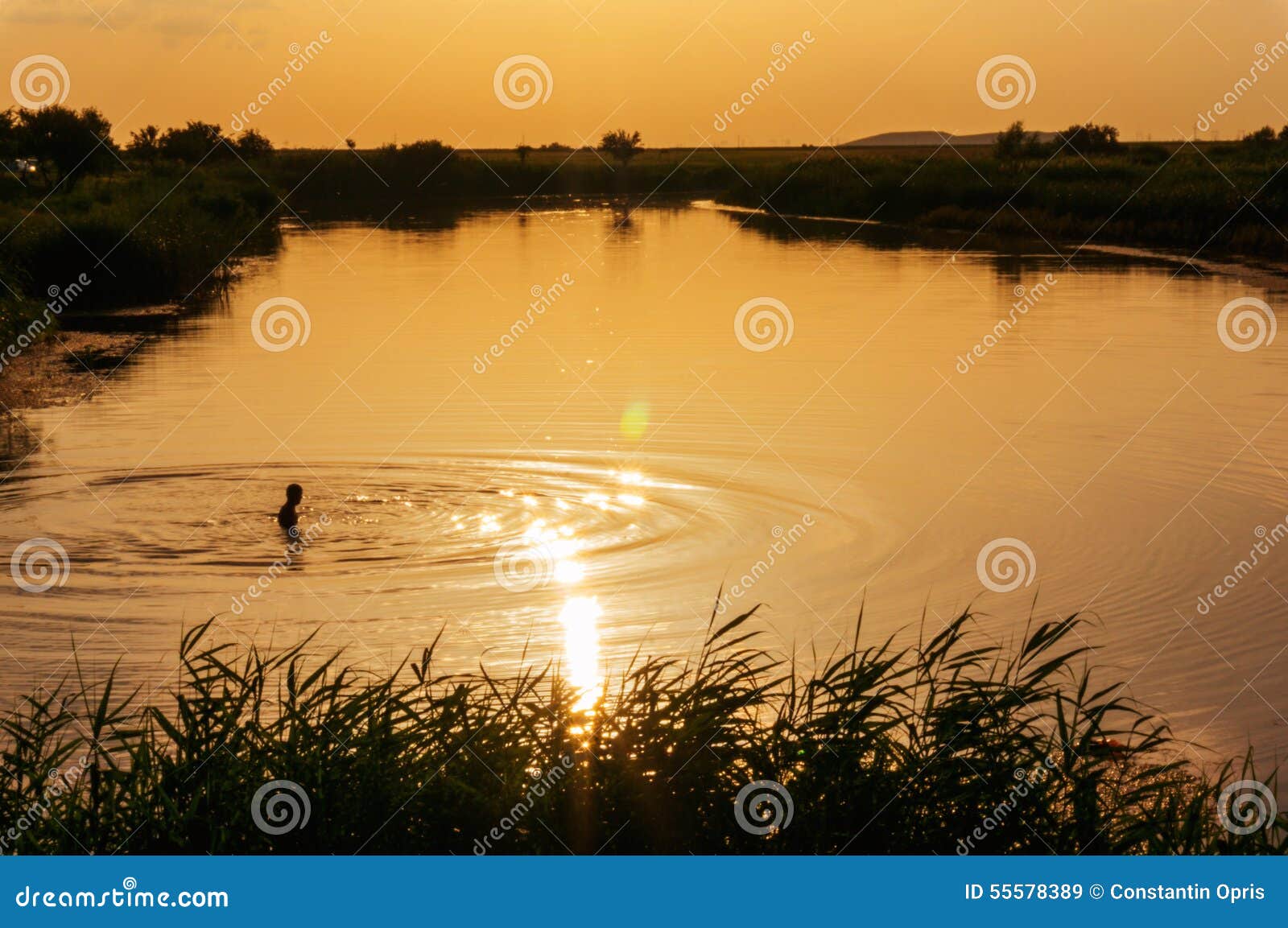 Lake Bath during Hot Summer Day Stock Image - Image of cooling, taking ...