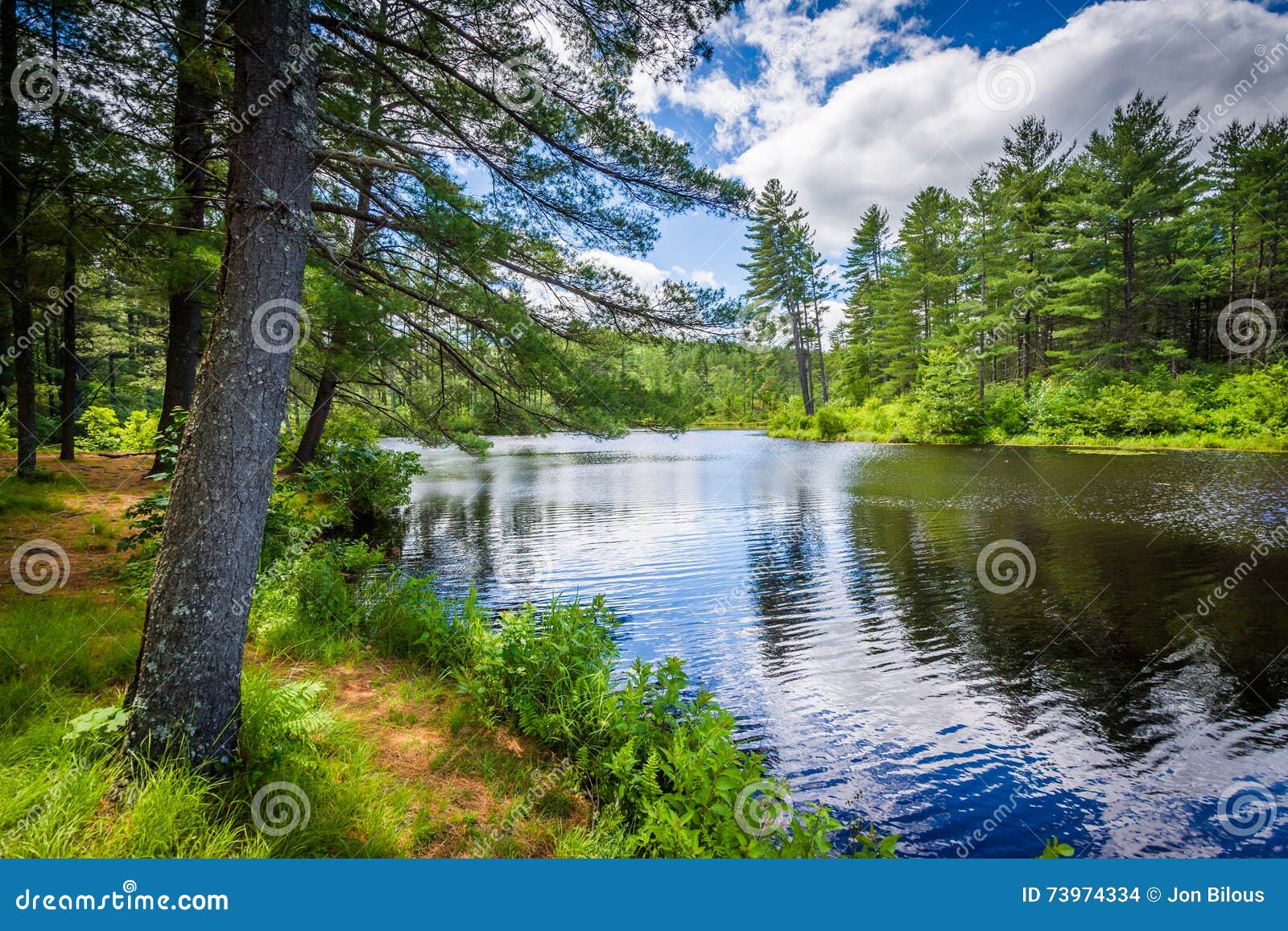 Lake at Bear Brook State Park, New Hampshire. Stock Photo - Image of ...