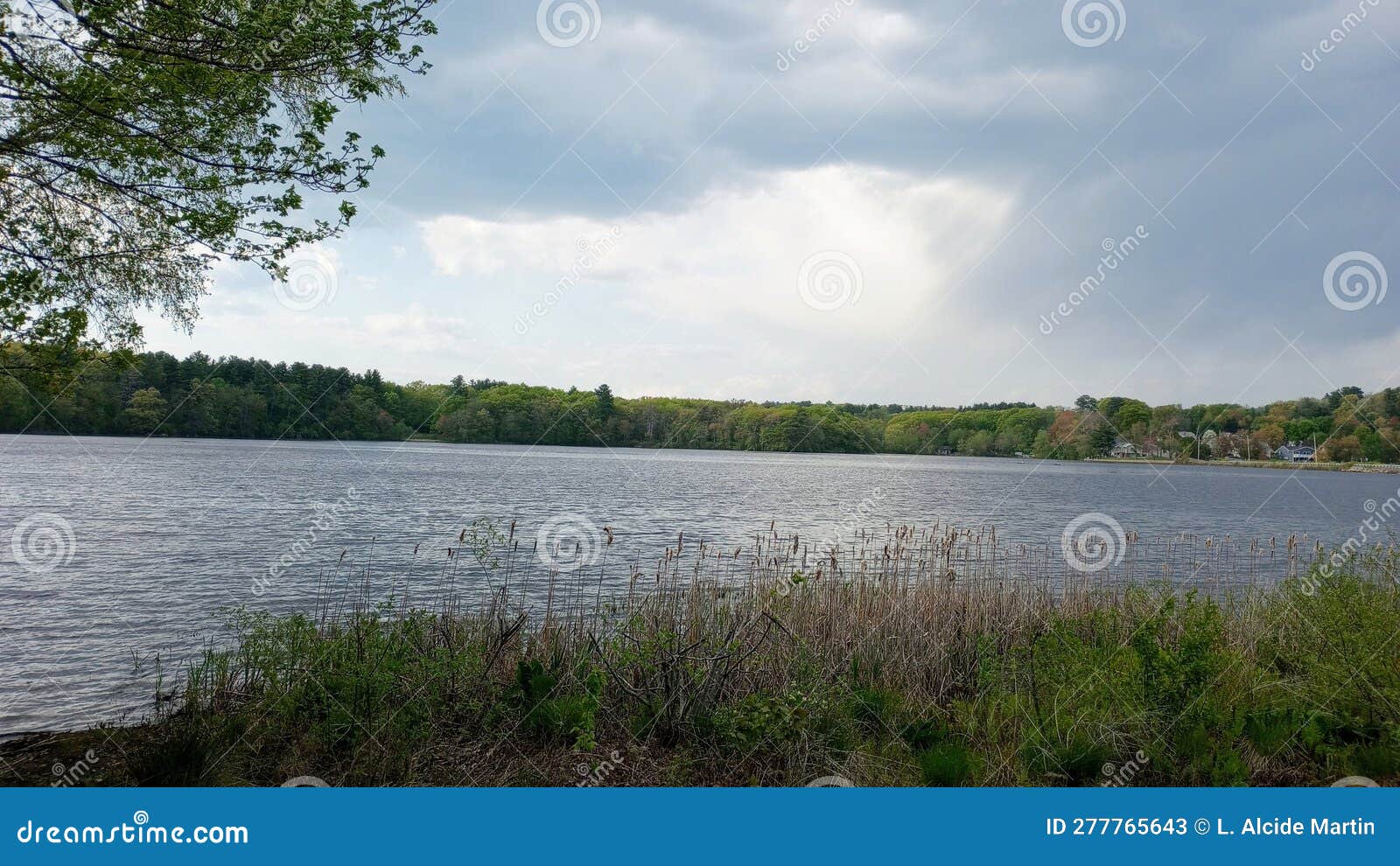 Lake Beautiful Shoreline Lakeside Clouds Overcast Scenery View Stock ...