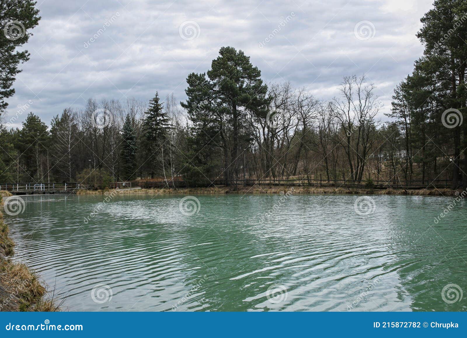 Lake with Beautiful Water Color Stock Photo - Image of bukowno ...