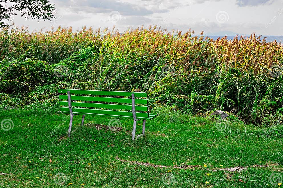 Lake Bench stock image. Image of clear, park, plants, good - 6639079