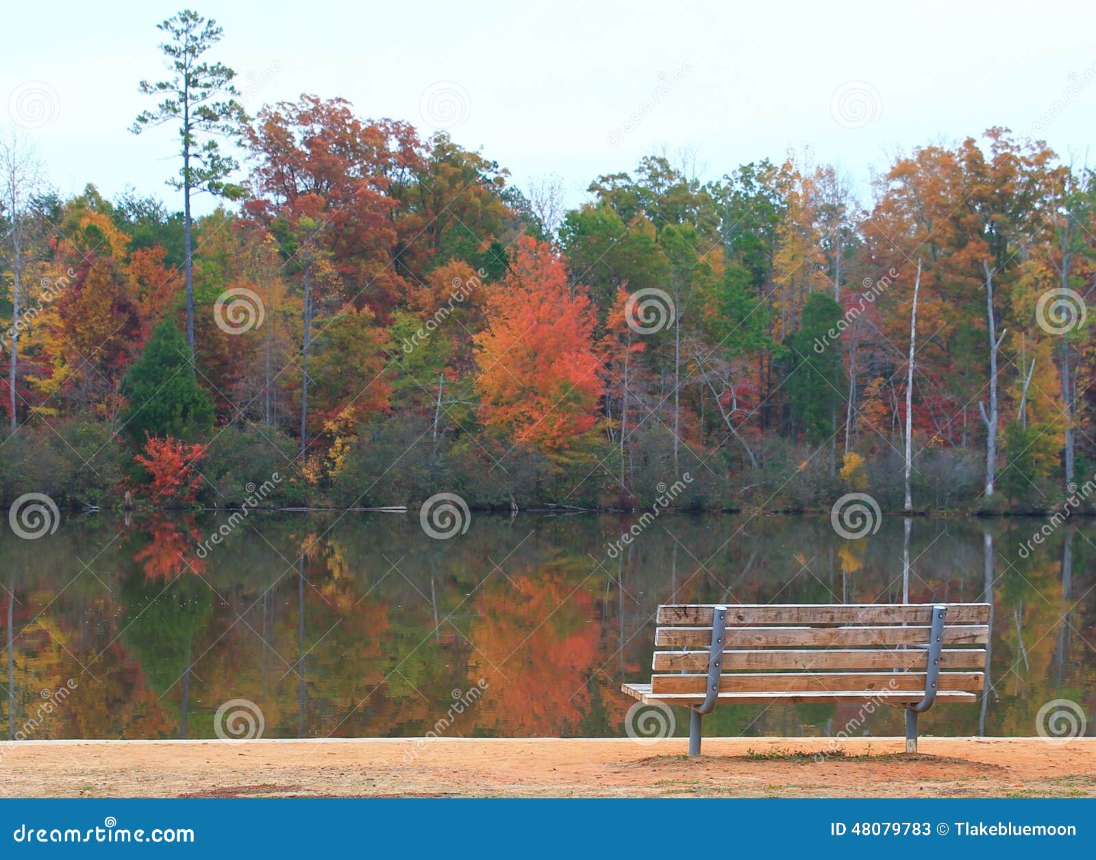 Lake bench stock image. Image of peaceful, reflection - 48079783