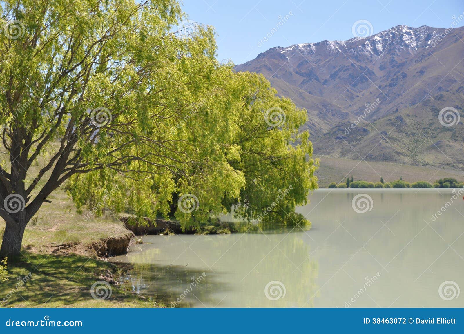 Lake Benmore shore stock photo. Image of lake, power - 38463072