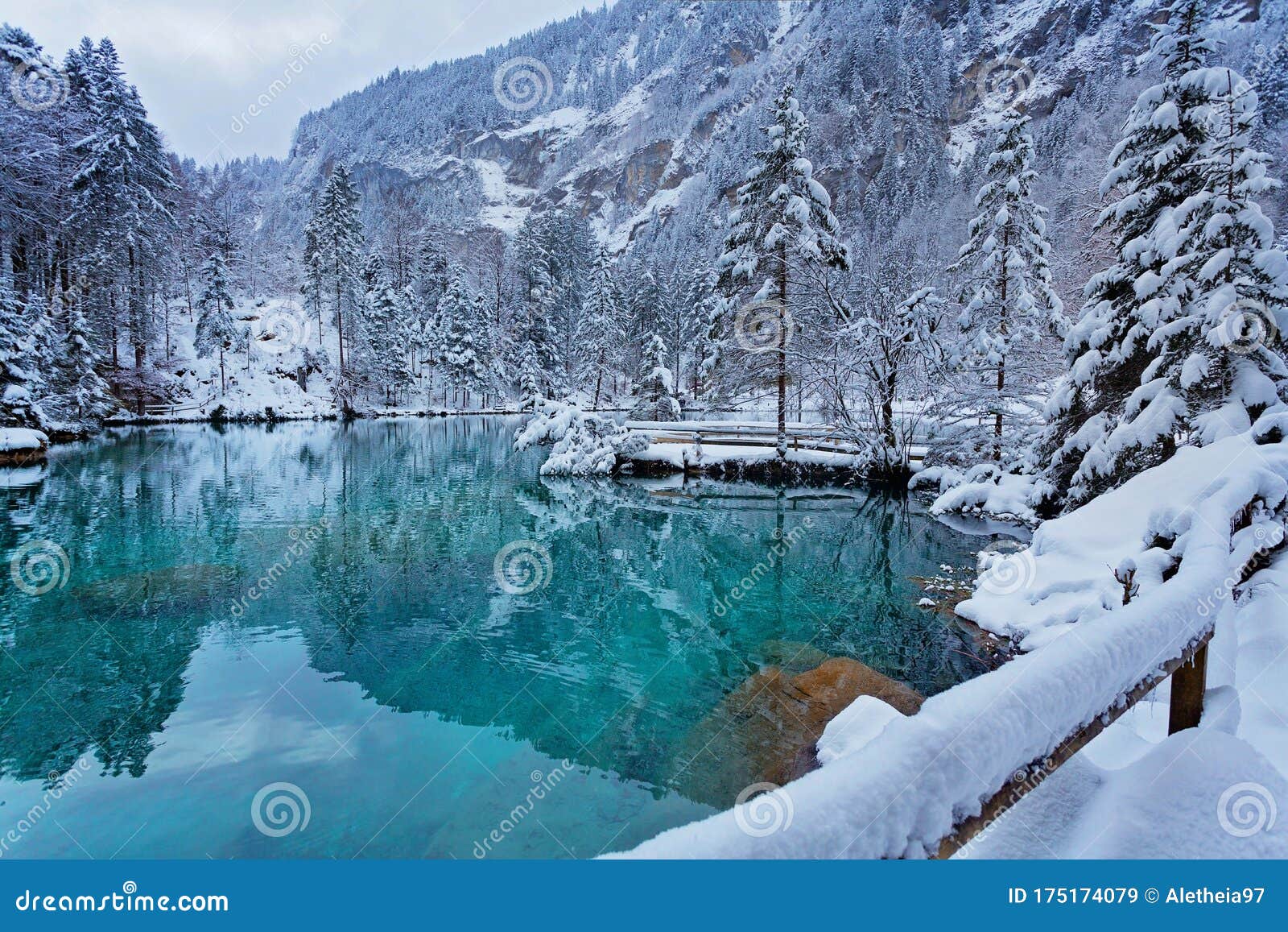 Lake Blausee at Winter, Switzerland Stock Image - Image of kandergrund ...