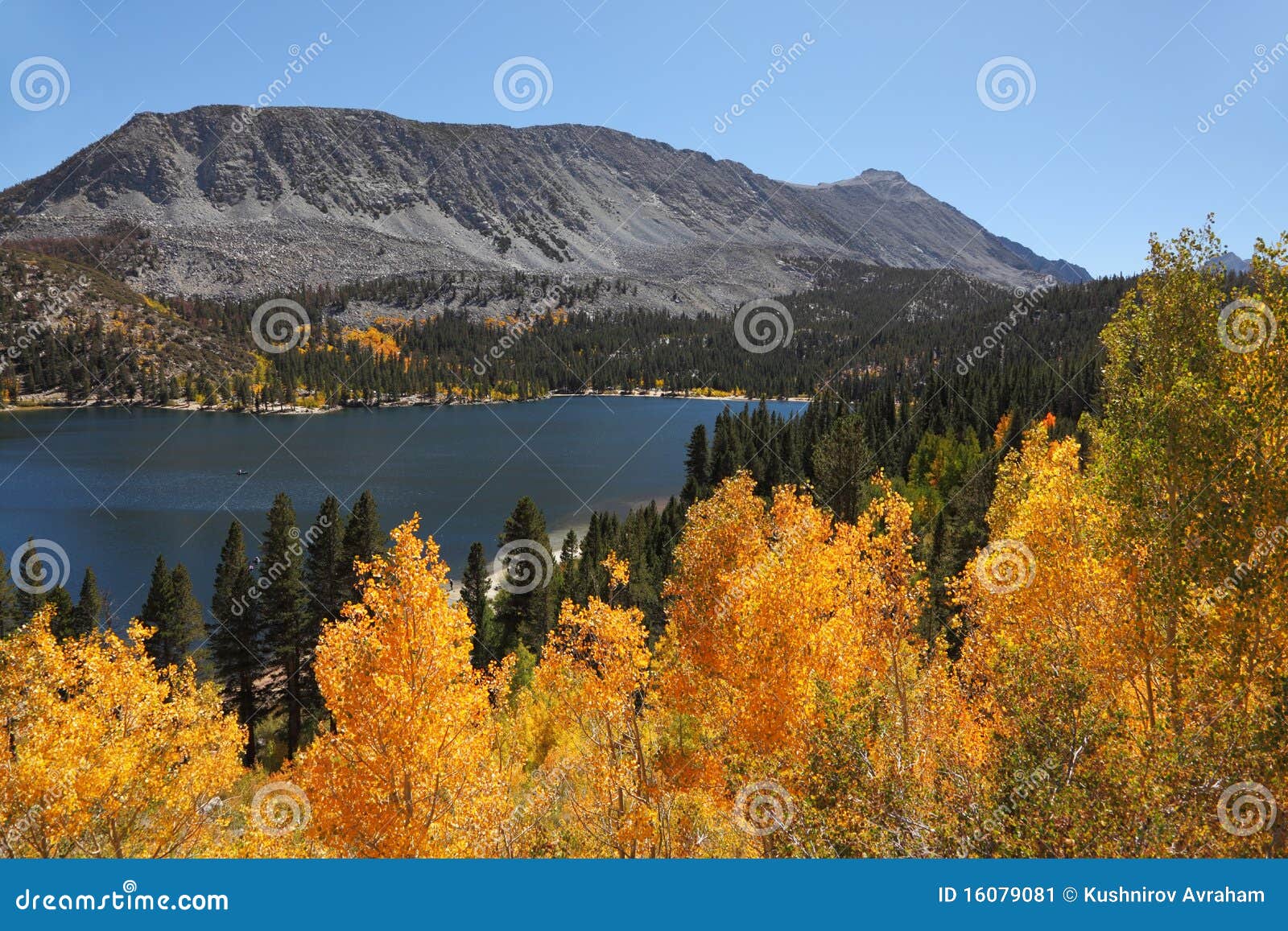 The lake with blue water stock image. Image of grass - 16079081