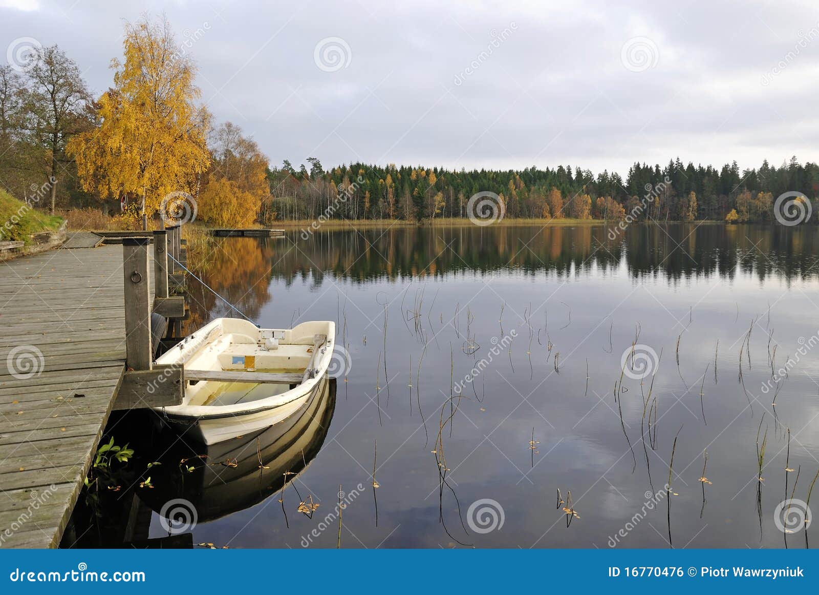 Lake Boat Harbour in Autumn S Colors Stock Photo - Image of mirror ...