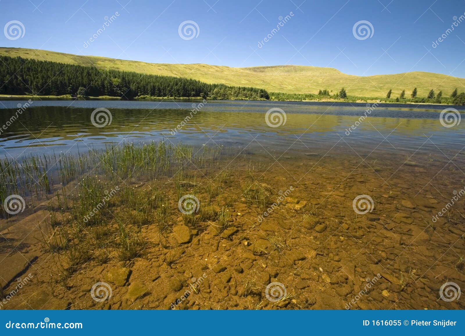 Lake at Brecon Beacons National Park, Wales Stock Image - Image of ...