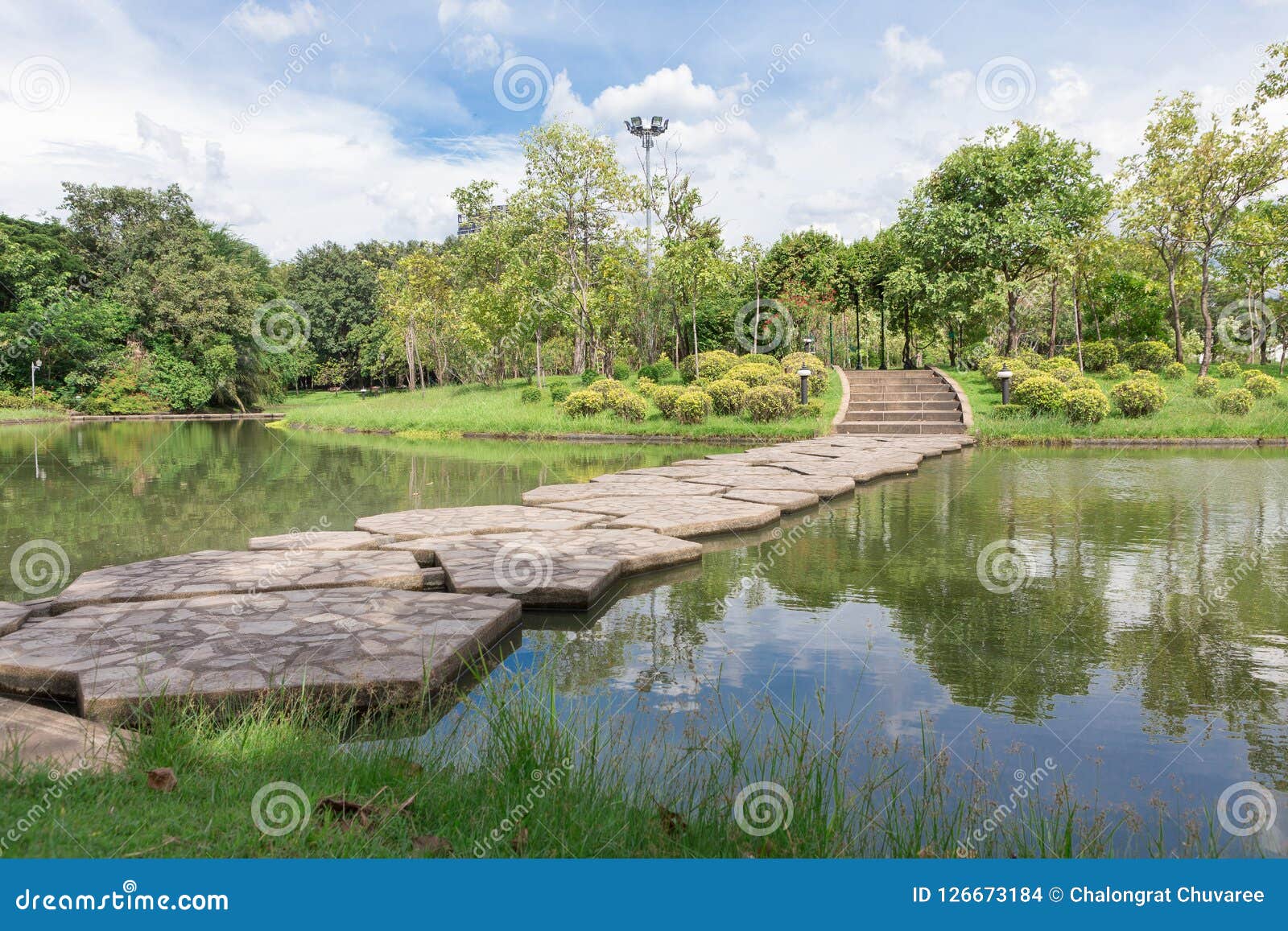 Lake and Bridge in the Park Stock Photo - Image of natural, cross ...