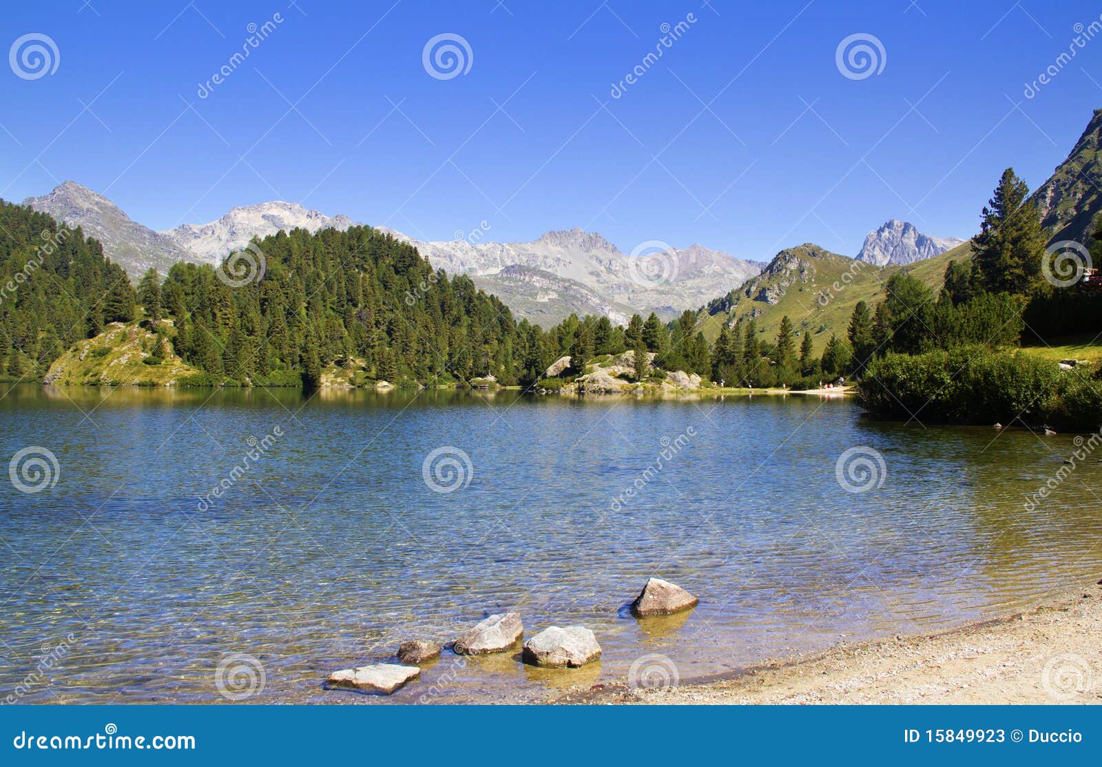 Lake Cavloc stock image. Image of tops, forest, pine - 15849923