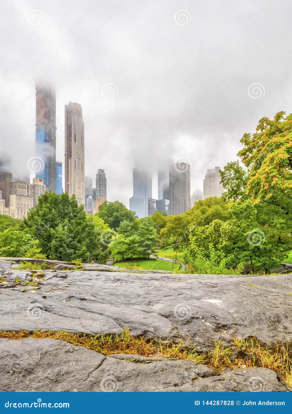 At the Lake in Central Park Stock Photo - Image of flowers, rain: 144287828