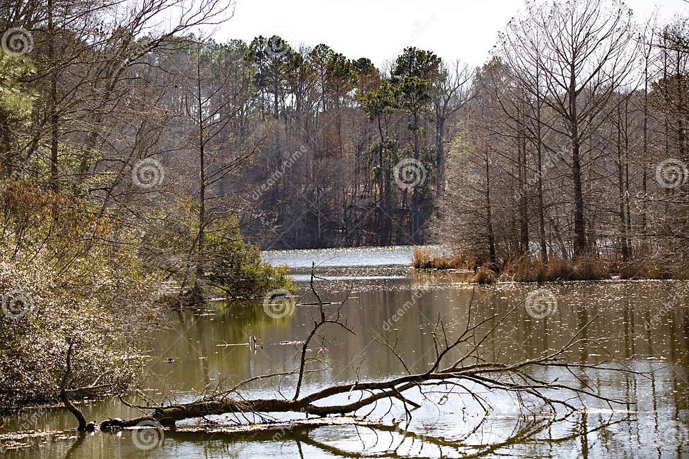 Lake Channel stock photo. Image of nature, horizontal - 291160702