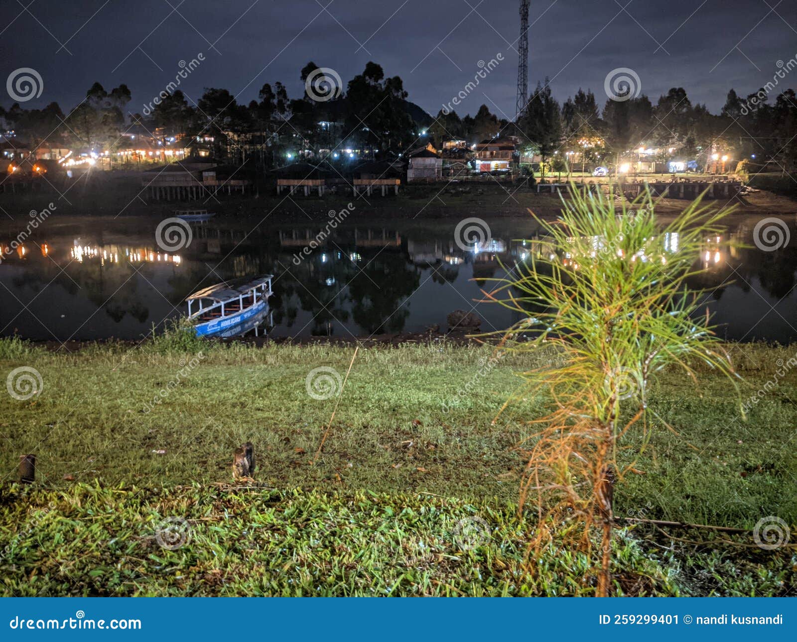 Lake cileunca stock image. Image of forest, cileunca - 259299401