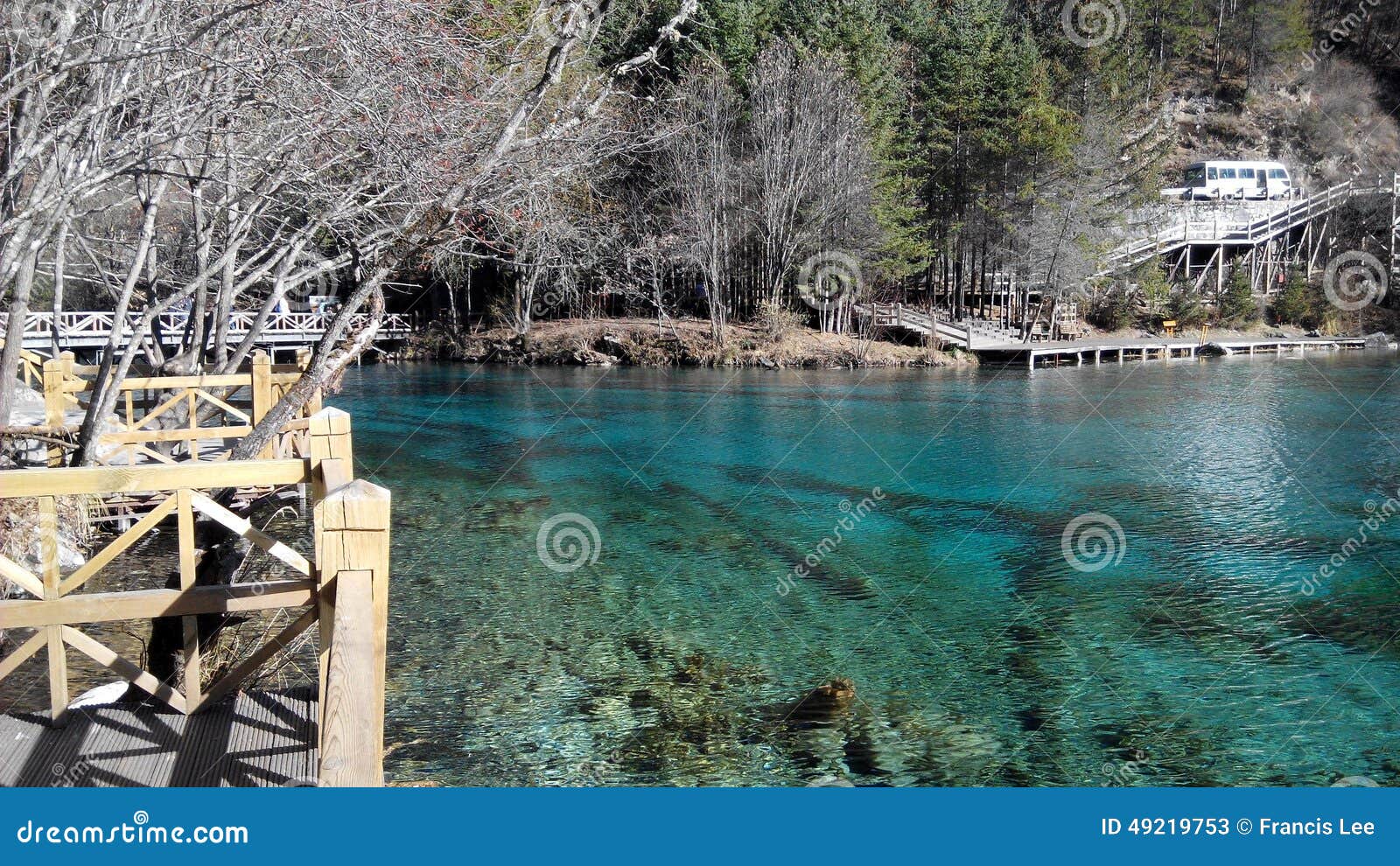 Lake with Clear Crisp Water with Swallow Depth Stock Image - Image of ...