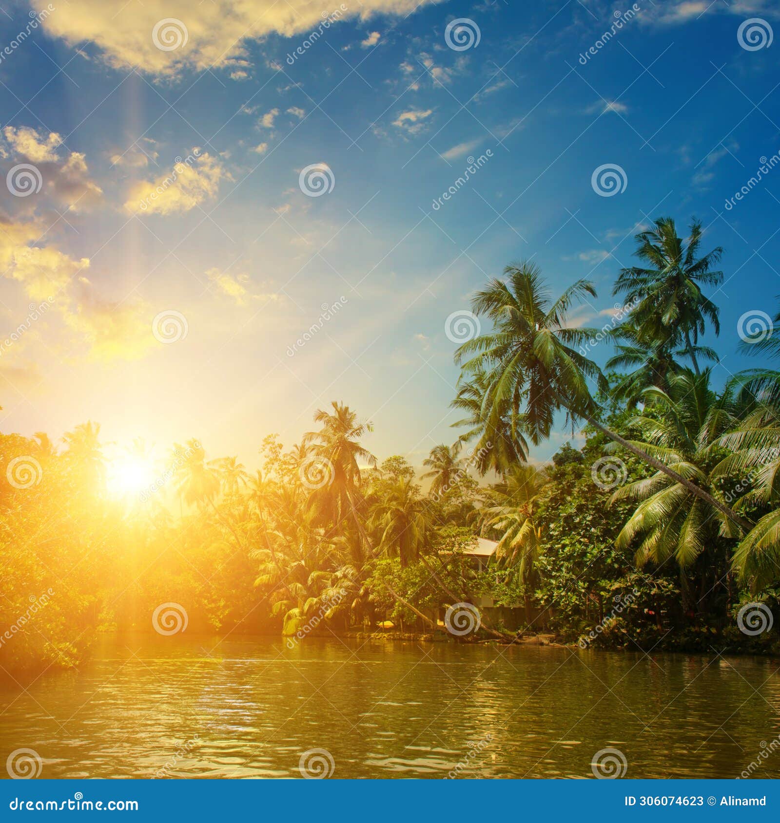 Lake, Coconut Trees and Sun. Sri Lanka Stock Image - Image of panorama ...