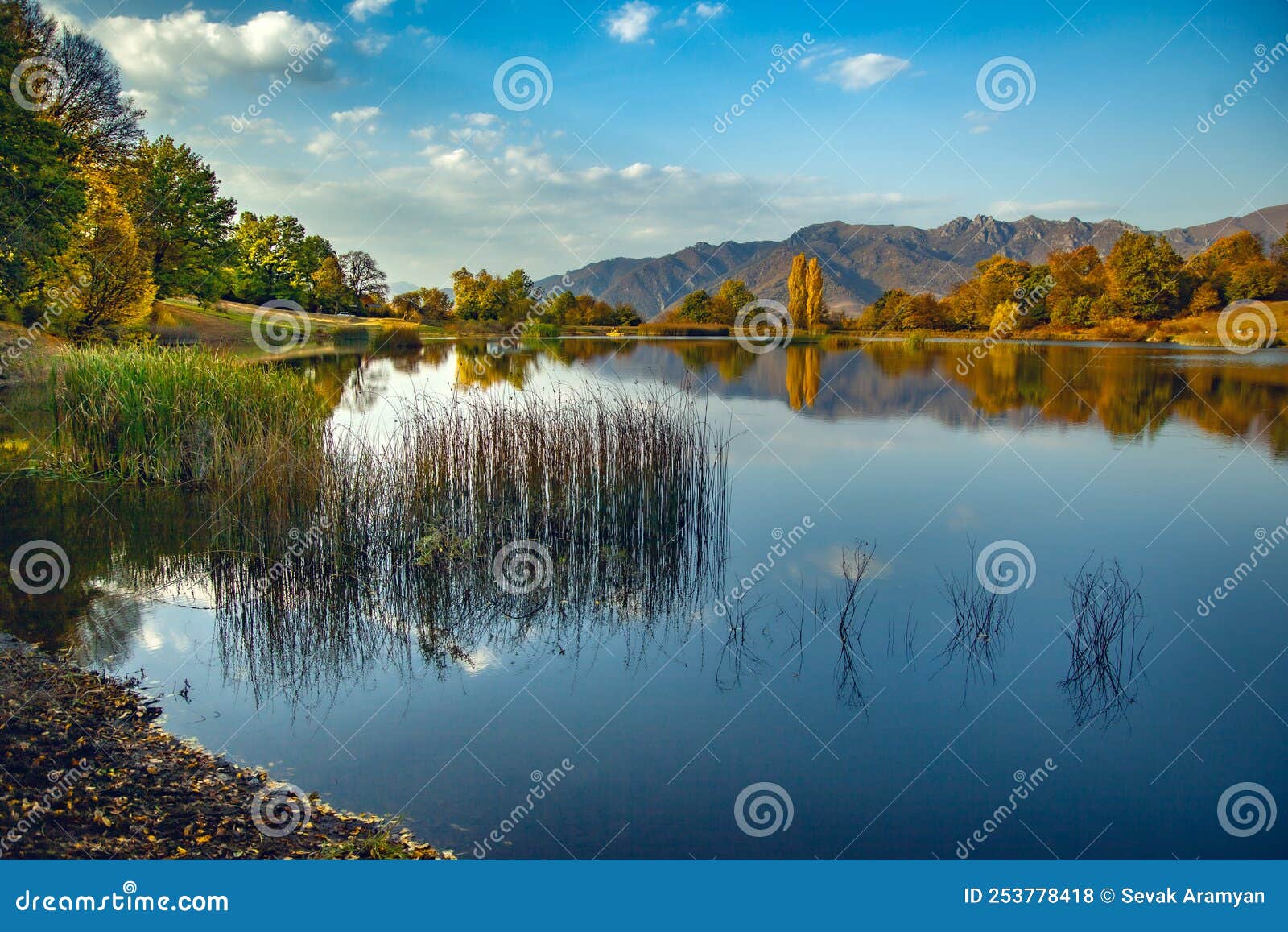 Lake and color forest stock photo. Image of national - 253778418