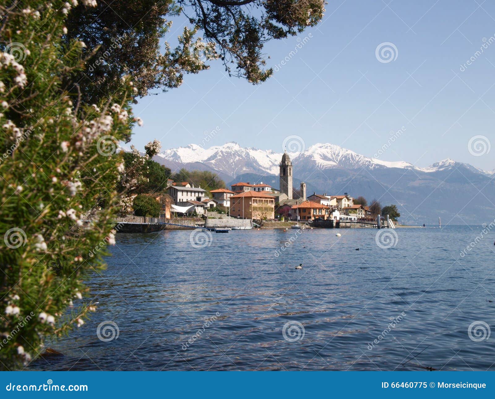 Lake of Como, Cremia stock image. Image of holiday, flower - 66460775