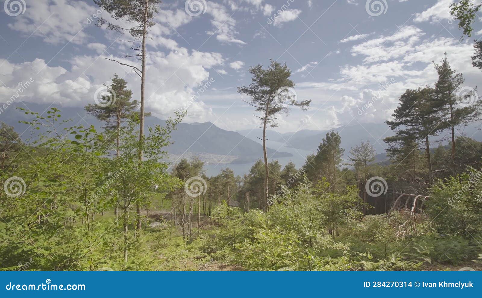 Lake Como Opens Behind Forest Trees on the Mountains Stock Footage ...