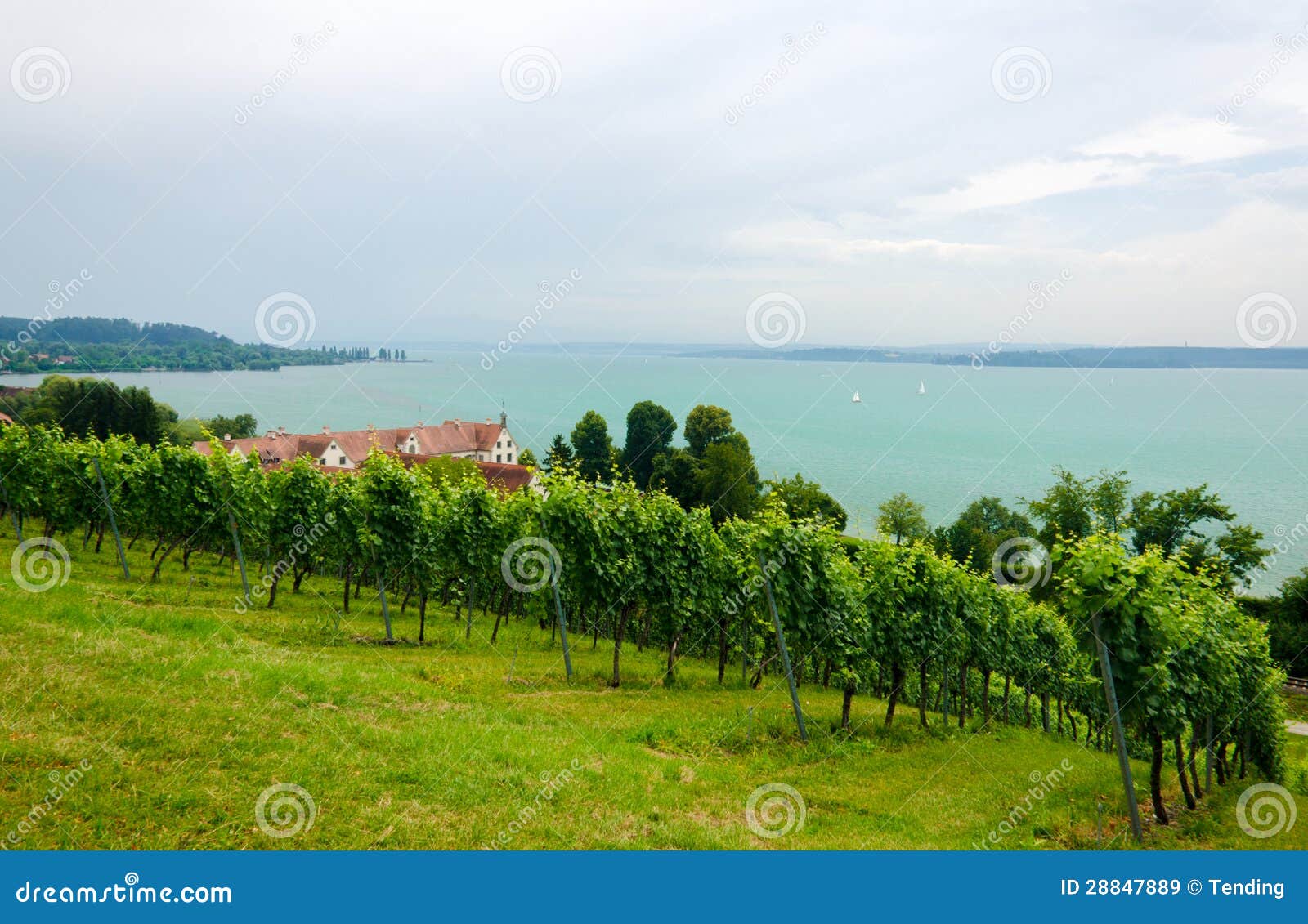 Lake Constance stock image. Image of nonurban, lake, outdoors - 28847889
