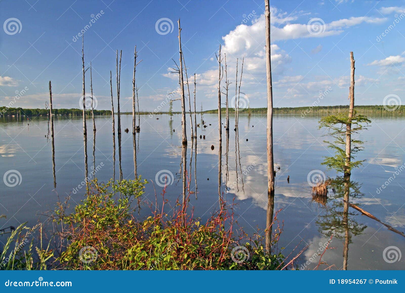 Lake Conway, Arkansas, USA stock image. Image of view - 18954267