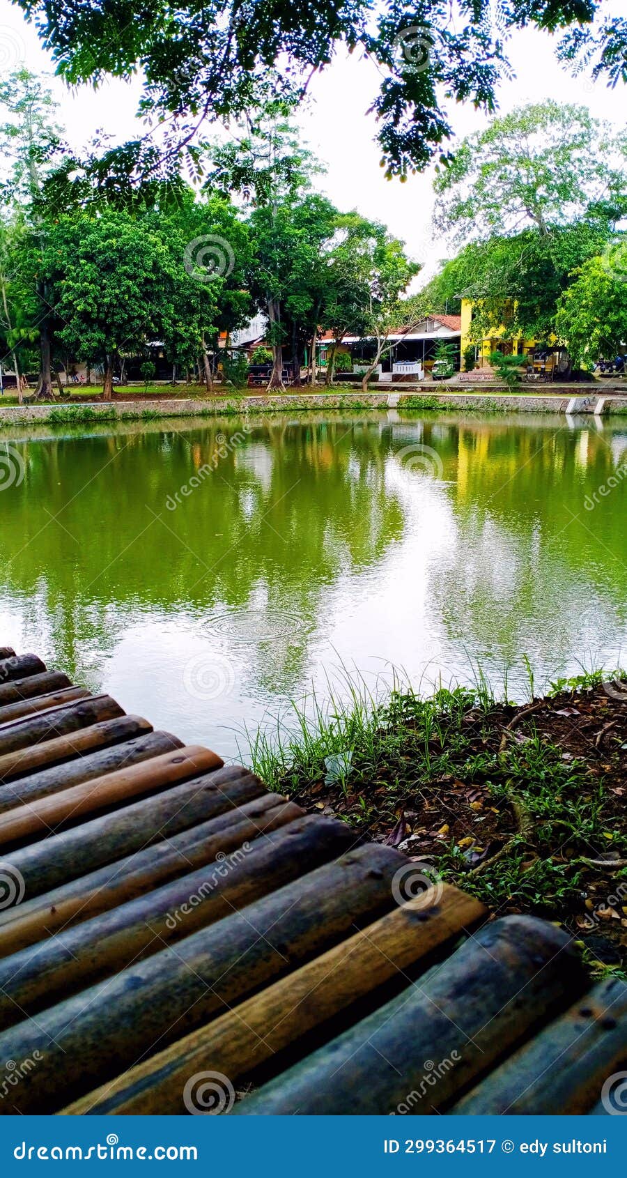 Beside the Lake, Cool View, Very Good for Background or Wallpaper Stock ...