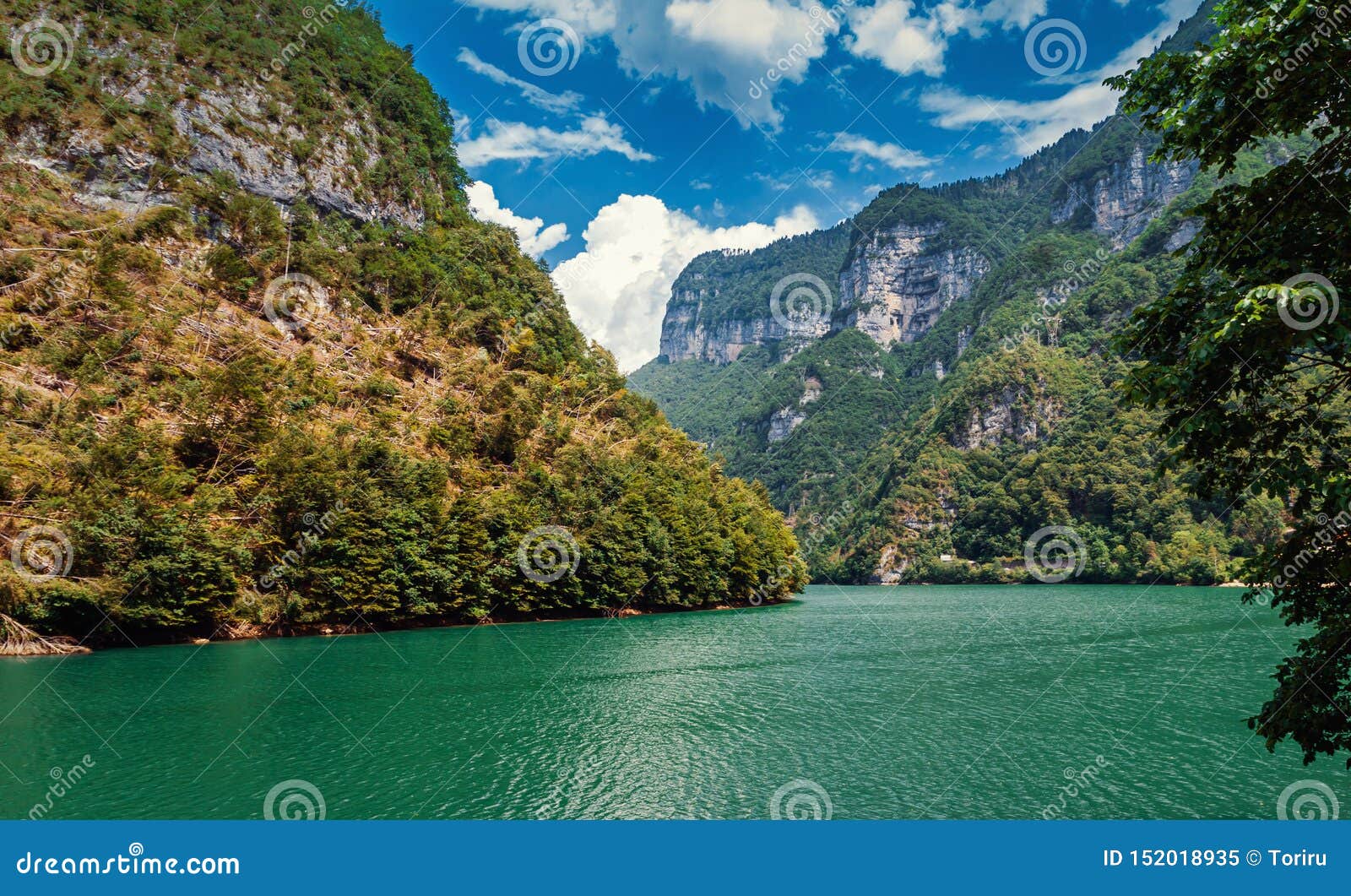 Lake of Corlo stock image. Image of trekking, trees - 152018935