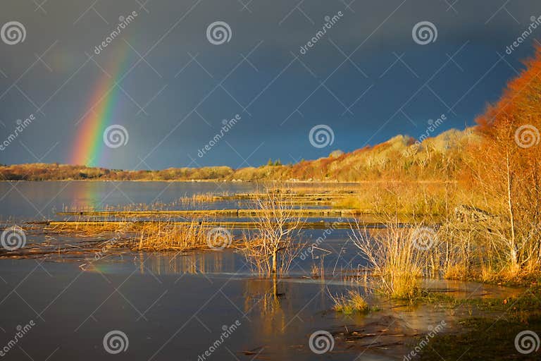 Lake Covered by Ice and Rainbow Stock Image - Image of park, lake: 12376497