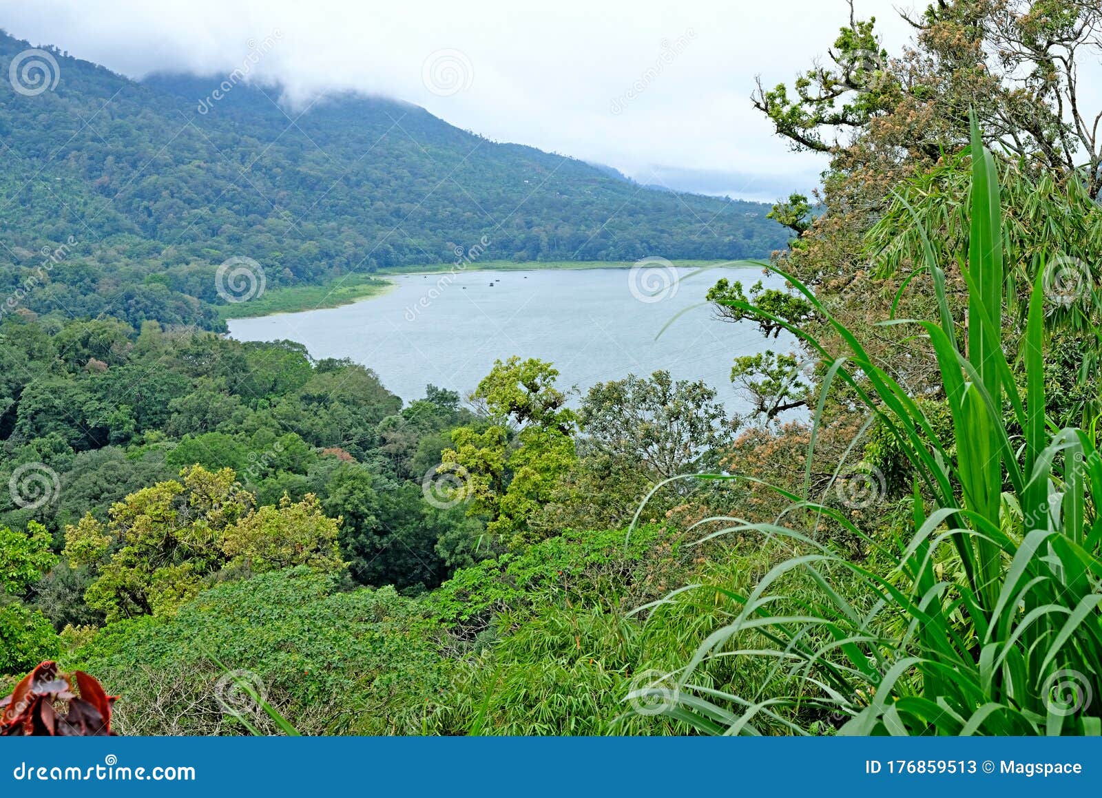 Lake Danau Buyan, Bali, Indonesia Stock Image - Image of danau, park ...