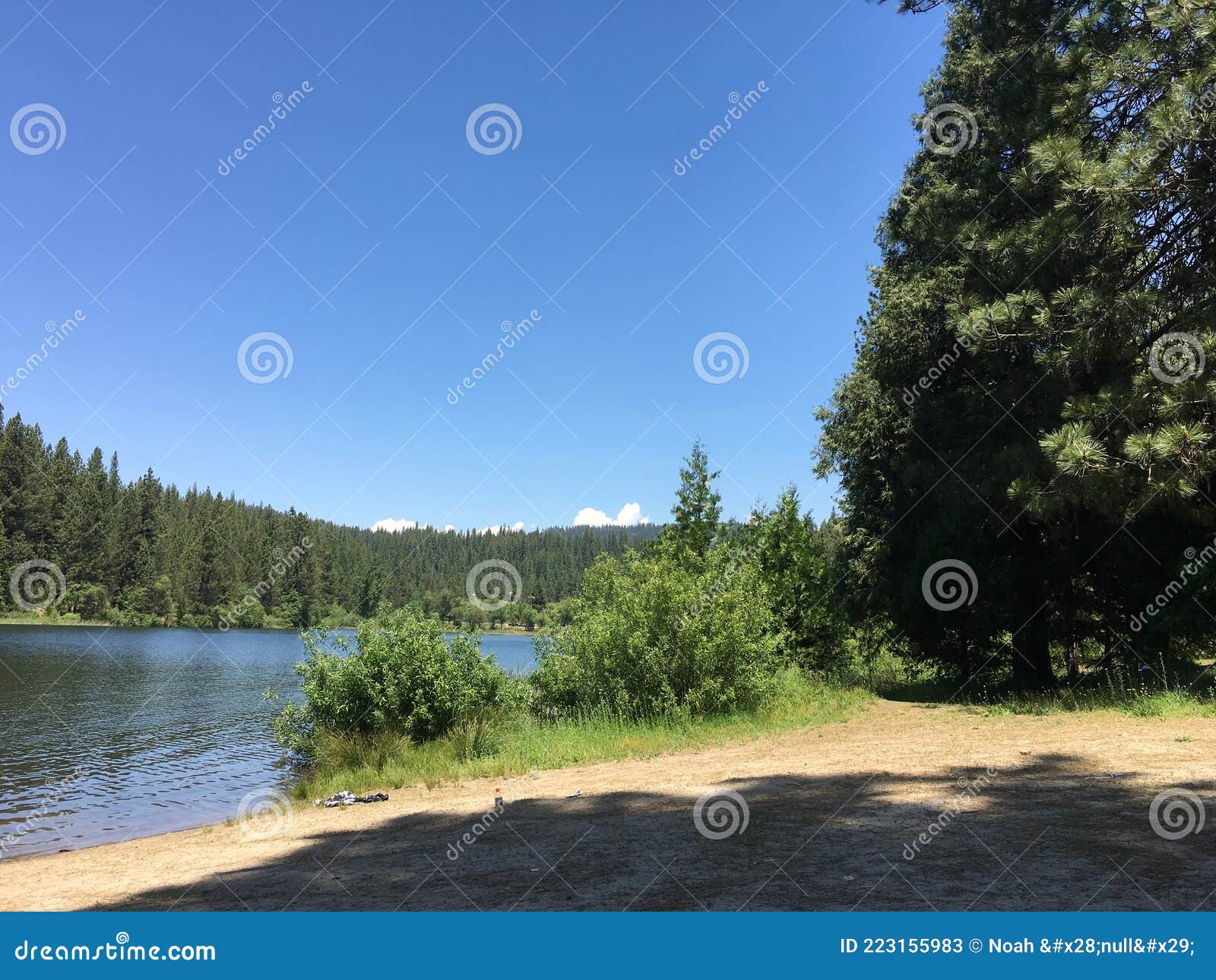 Lake Day stock image. Image of trees, surrounded, lake - 223155983